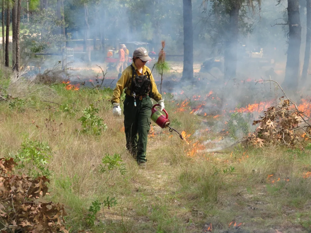 North Florida Prescribed Burn Association