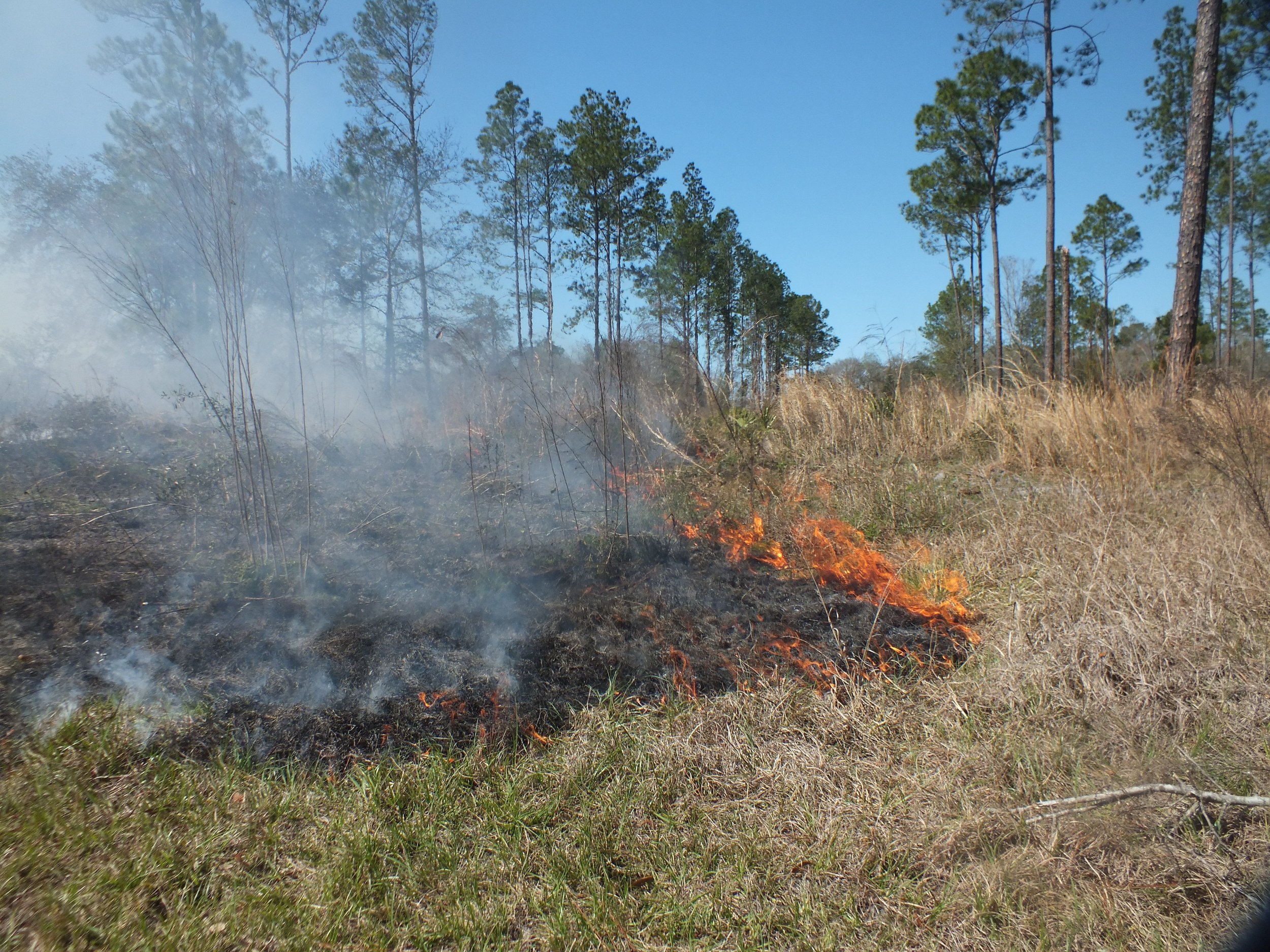 North Florida Prescribed Burn Association