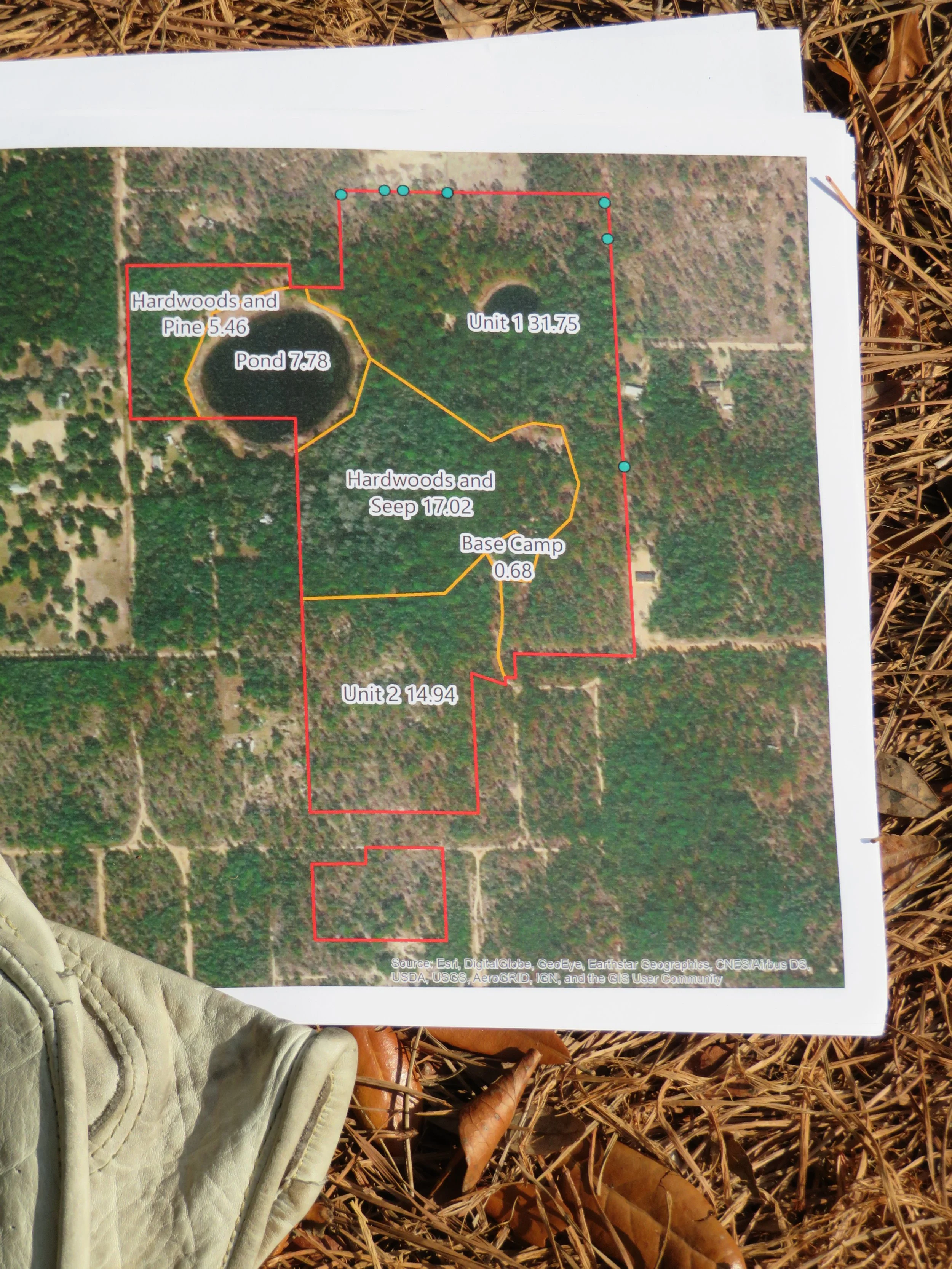 Typical Prescribed Burn Process — North Florida Prescribed Burn Association