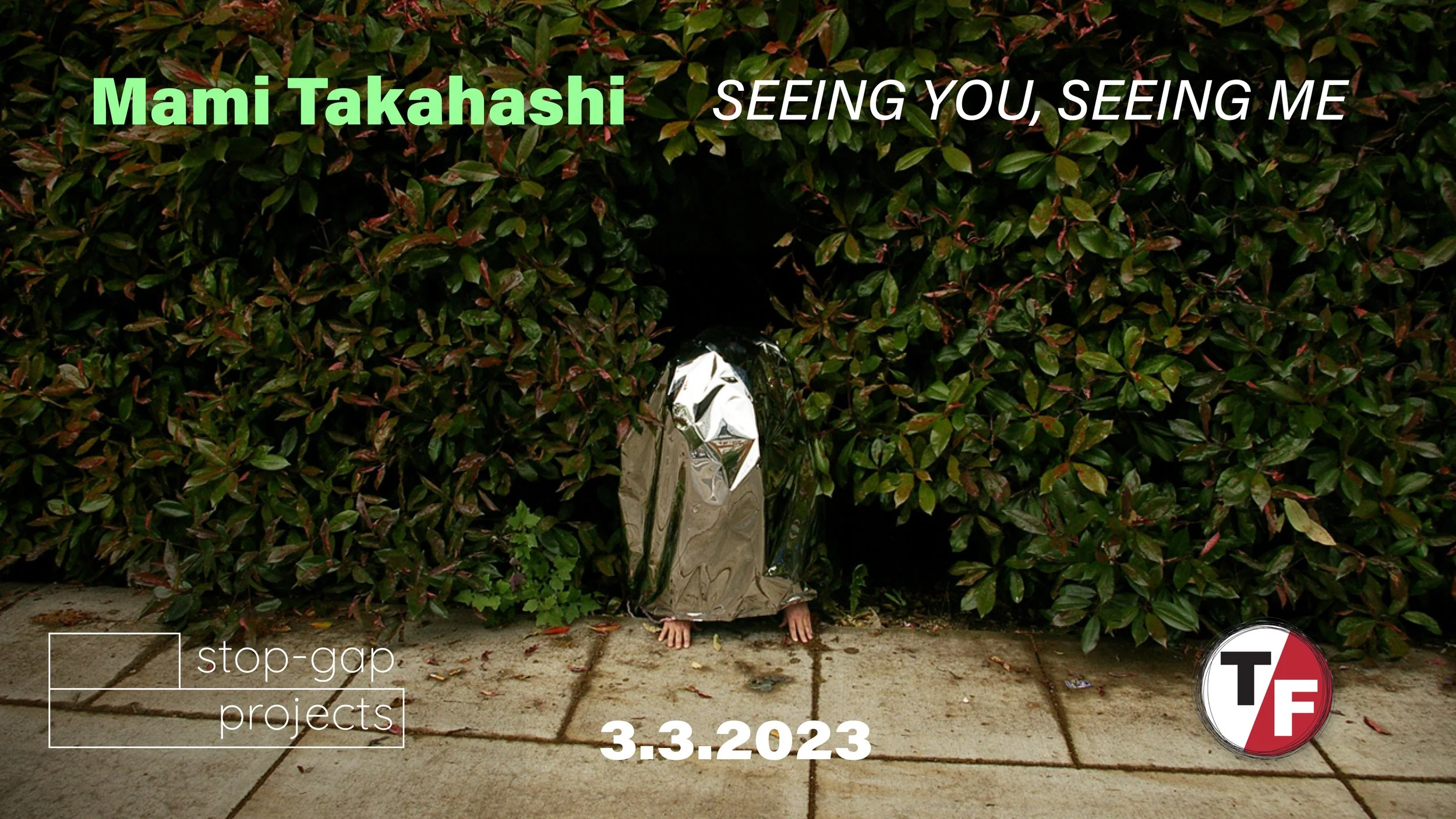 SEEING YOU, SEEING ME | Mami Takahashi — stop-gap projects