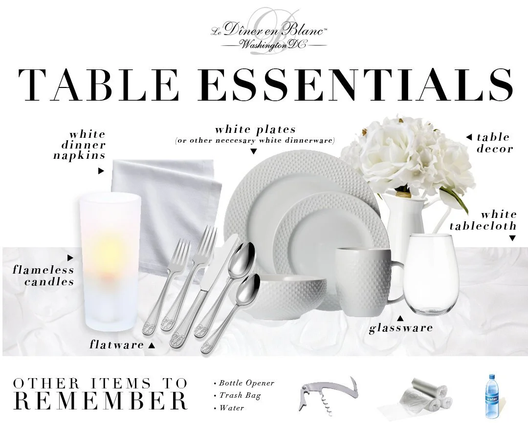 A First-Timer’s Guide to Dîner en Blanc — TyAlexander