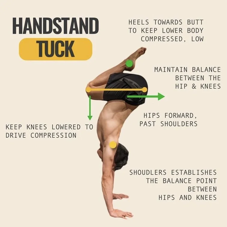 Tuck Handstand Alignment - Simplified Guide — Handstand Coach Ed Liu