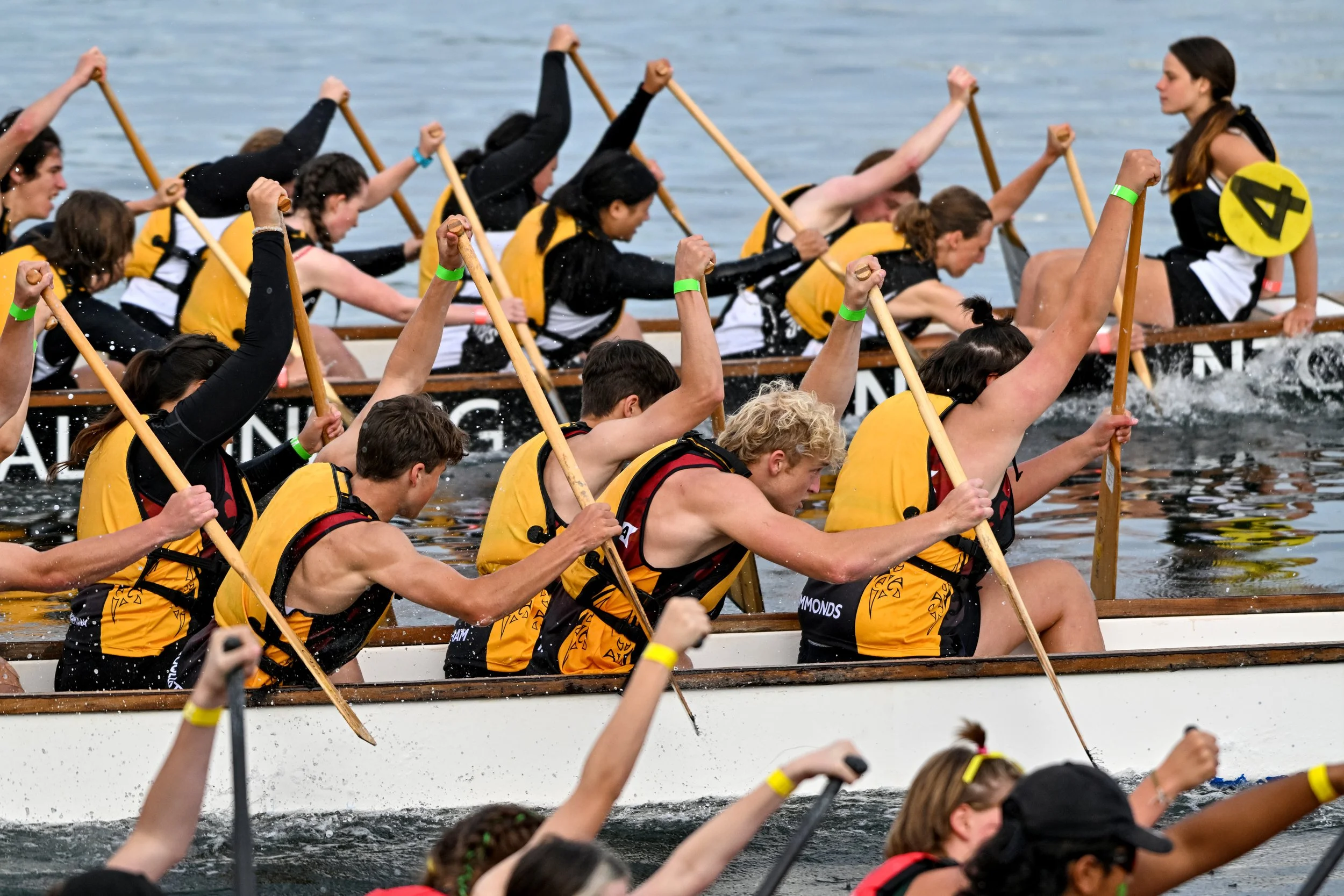 FAQ — Wellington Dragon Boat Festival