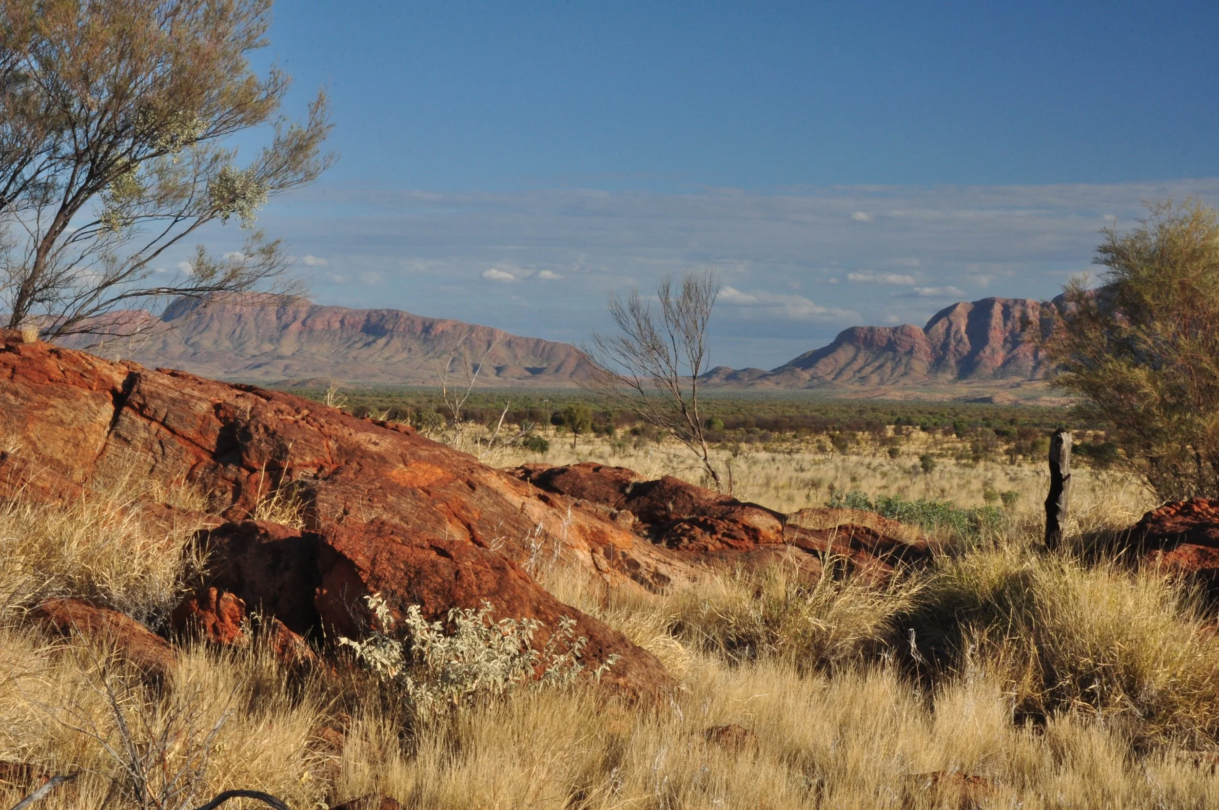 Australian Taxonomy — ASFI