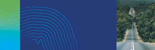 The Roadmap (2020) — ASFI