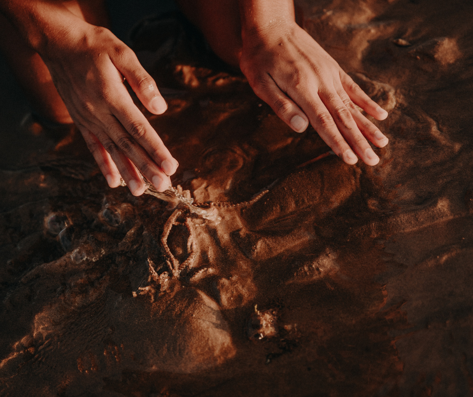 First Nations and Finance — ASFI