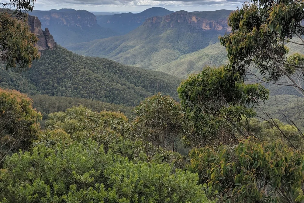 Introducing the methodological design features of the Australian ...