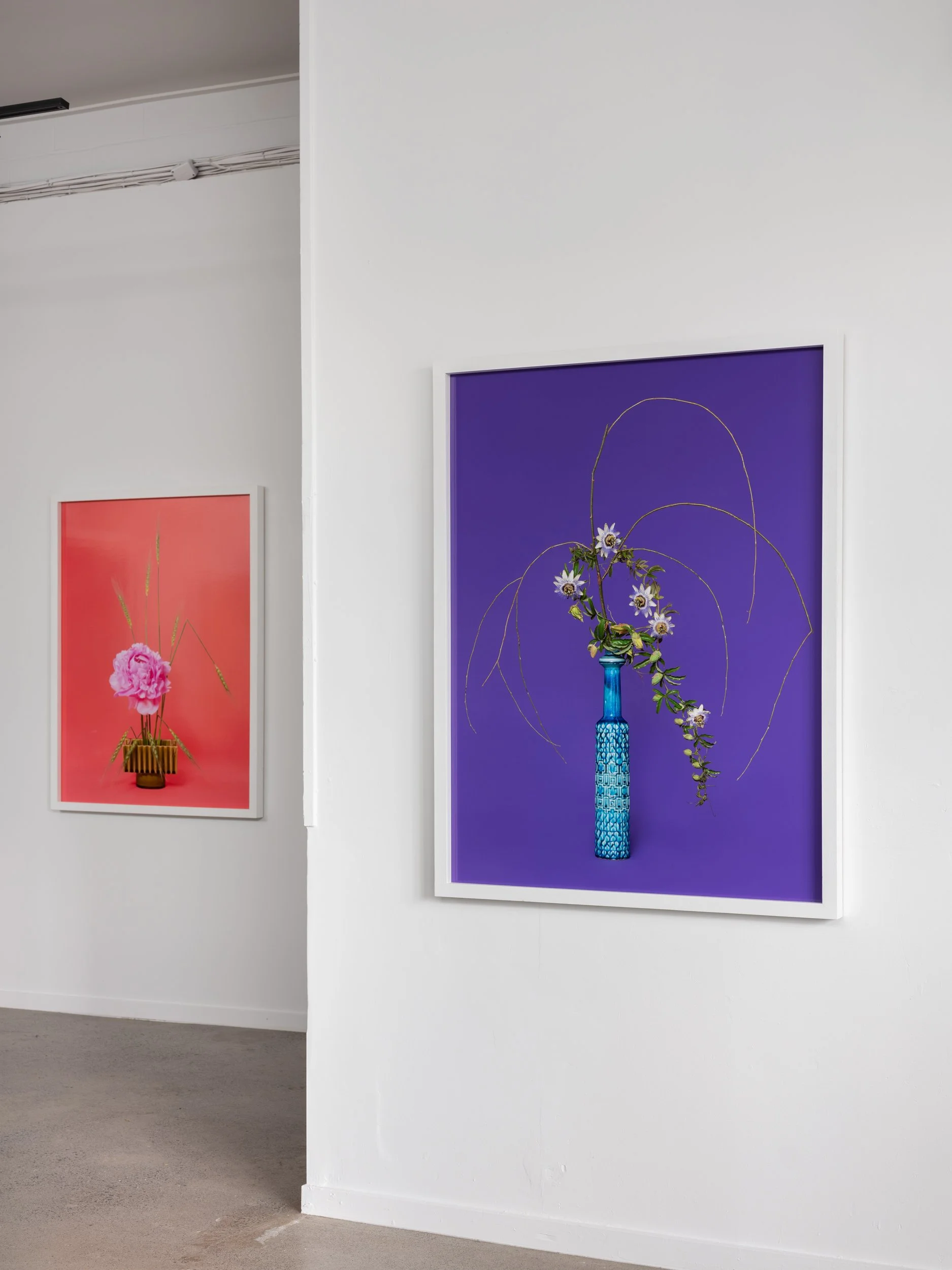 Exuberant flowers, plants and herbs — The Art Paper