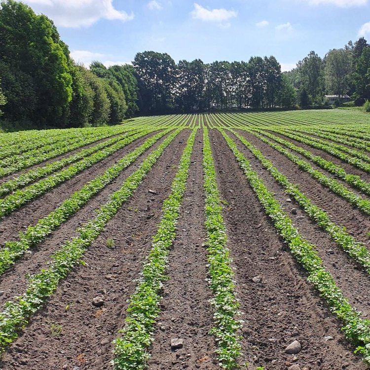 Agronomy | Enhance Crops Now — Increase Yields — Kilter