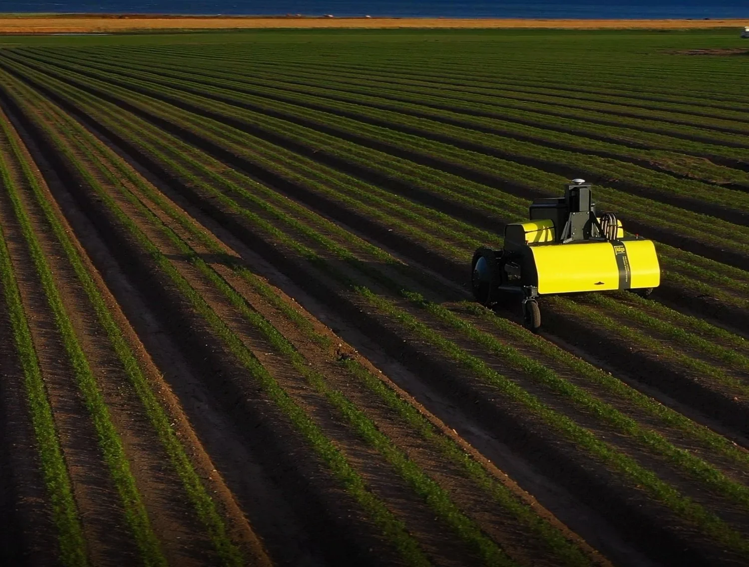 Kilter AX-1 | Precision Farming Robot for Weed Control & Plant Health ...