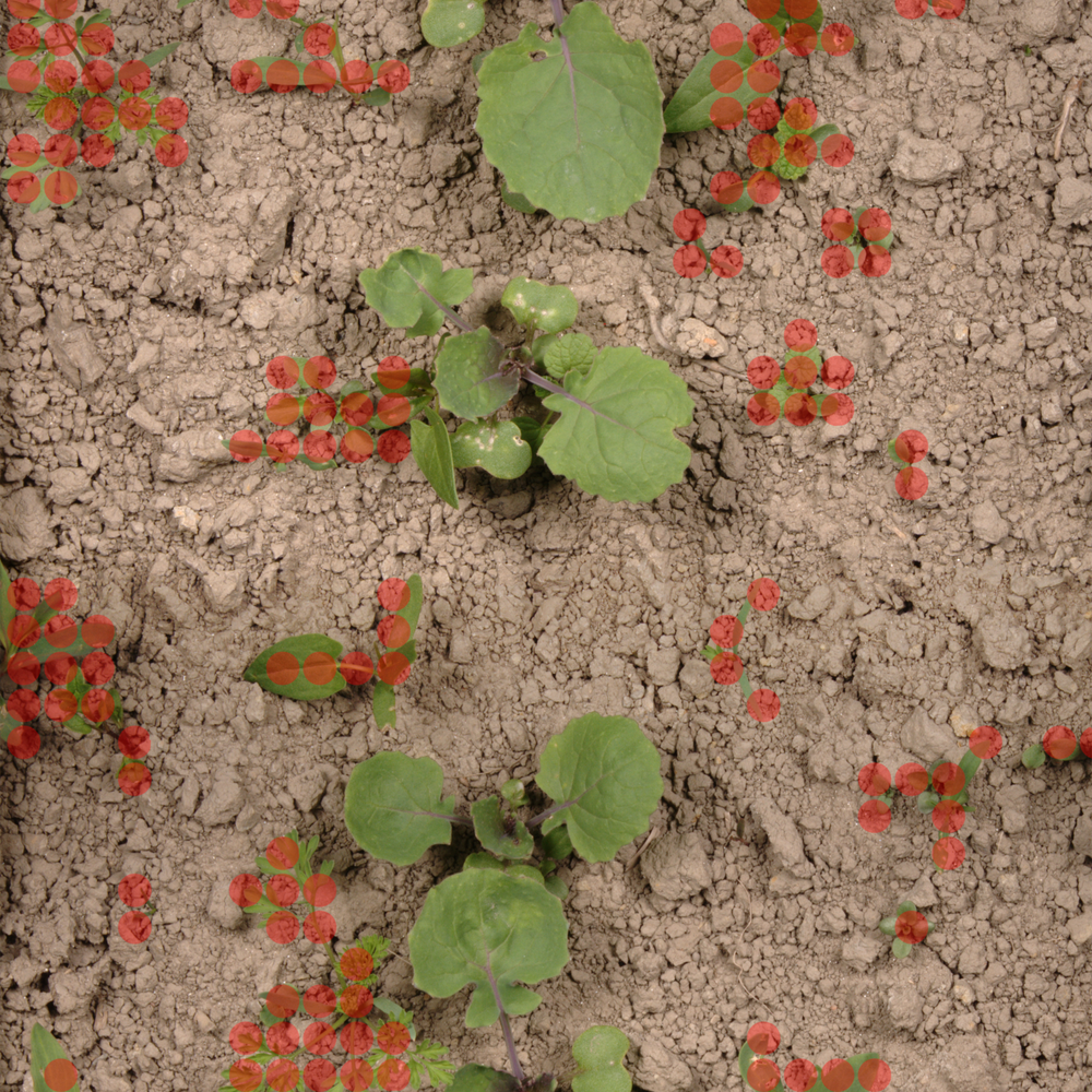 Kilter AX-1 | Precision Farming Robot for Weed Control & Plant Health ...