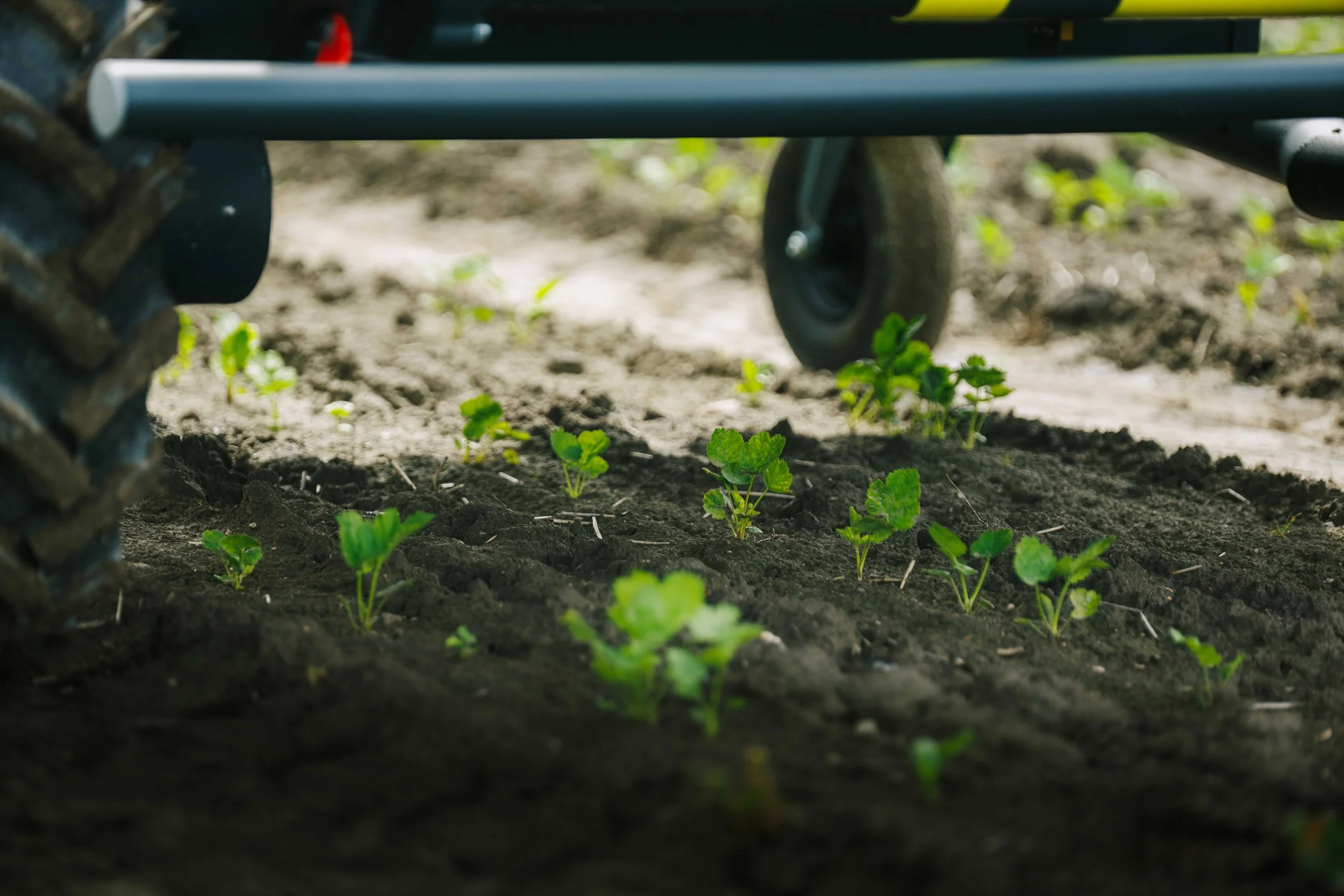 Kilter AX-1 | Precision Farming Robot for Weed Control & Plant Health ...