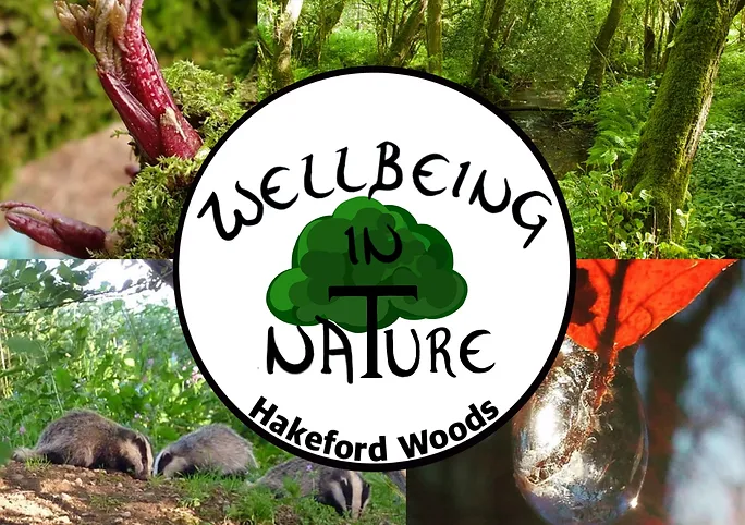 Innovation Fund helps support Wellbeing in Nature sessions for socially ...