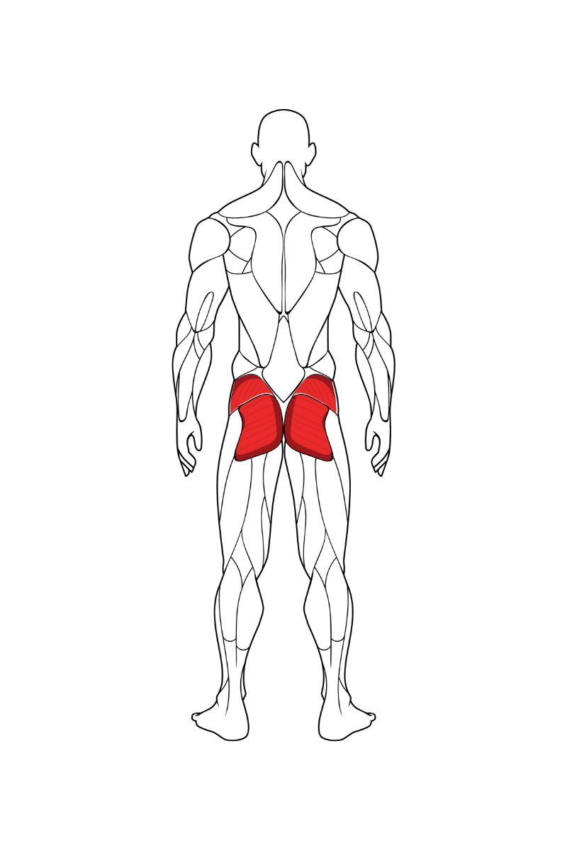 Feet Elevated Glute Bridge — HealthKer
