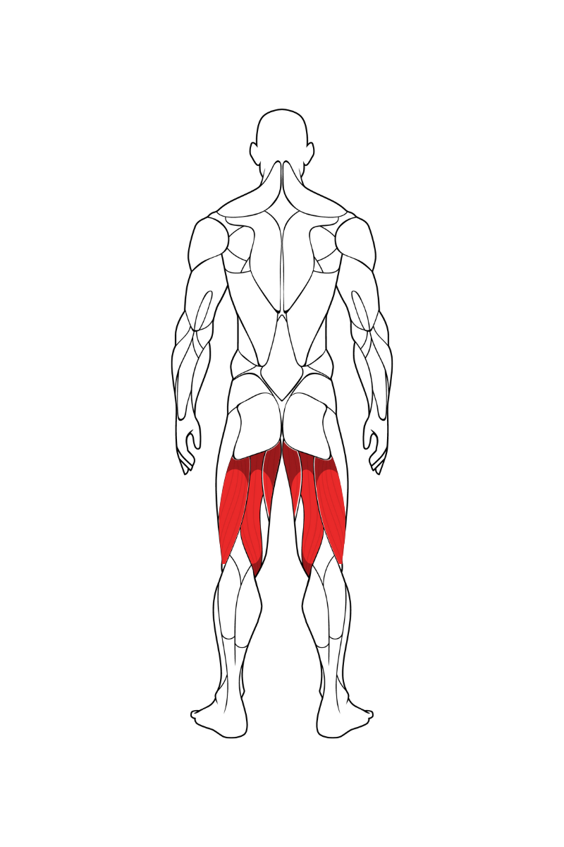 Dumbbell Floor Lying Hamstring Curl — HealthKer