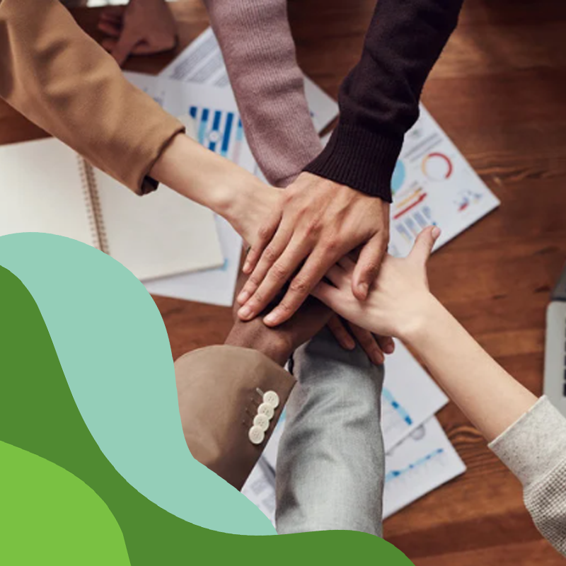 Company News — Peppermint Technology Inc.