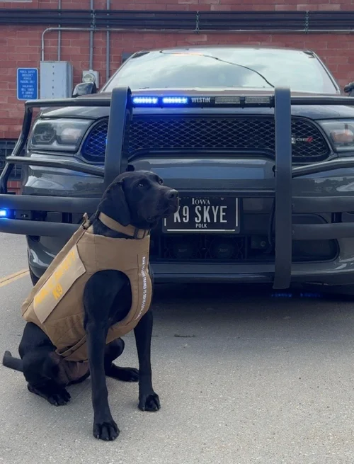 UnityPoint Health – Des Moines K9 Officer Skye to Receive Body Armor ...