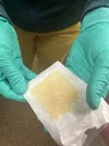 Innovating Wound Care: Harnessing The Healing Power Of Fish Skin At ...