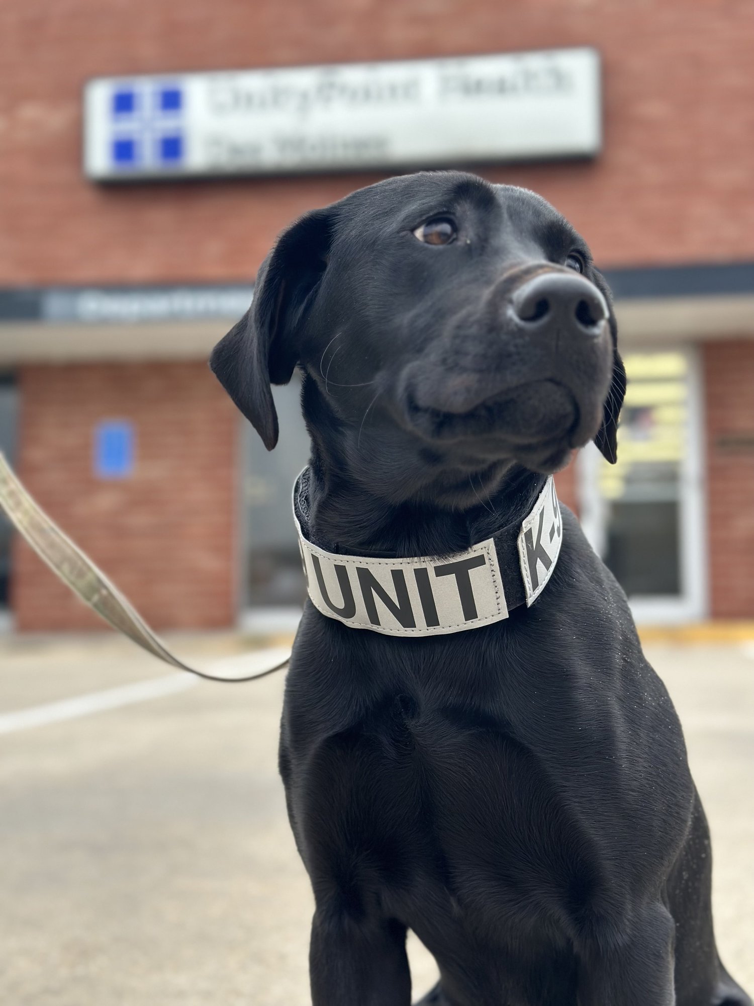 UnityPoint Health – Des Moines Public Safety K9 Officer Skye to Receive ...