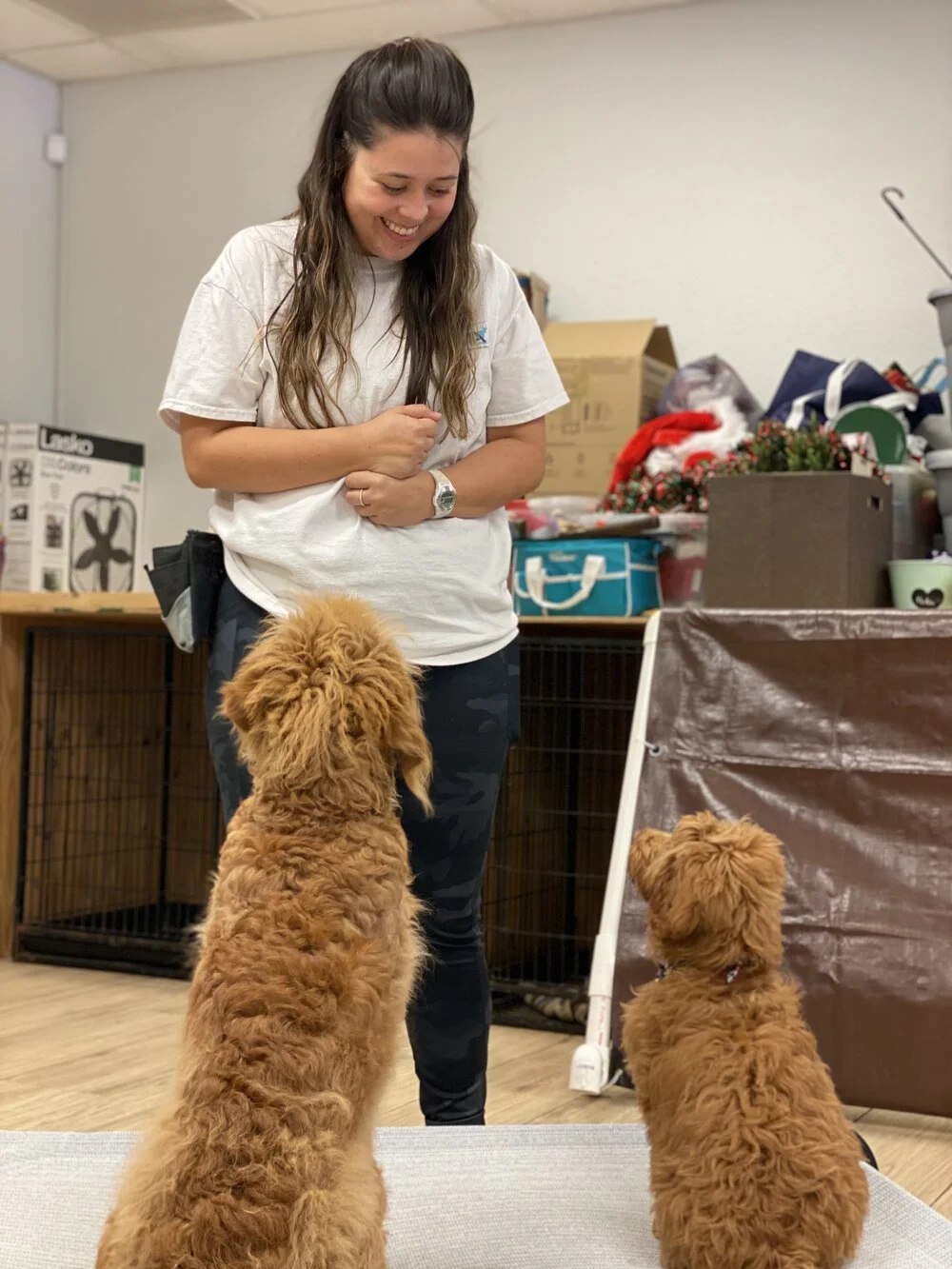 Trainers — Paws Abound