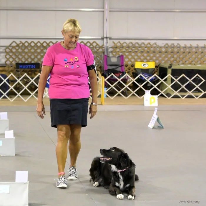 Classes — Black Dog Training