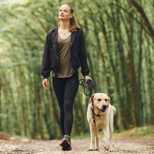 Classes — Black Dog Training