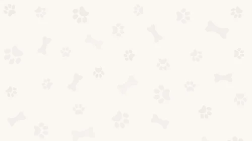 Black Dog Training