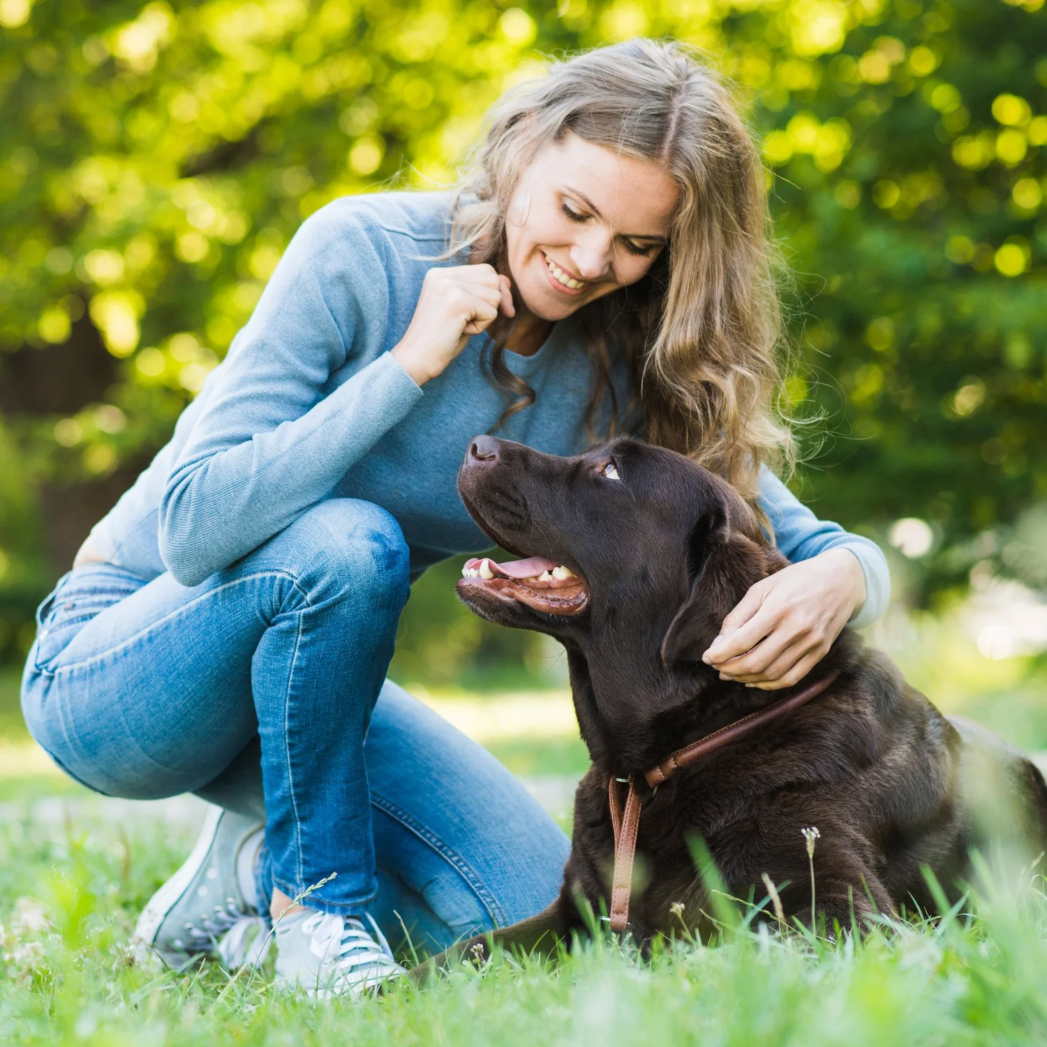 Classes — Black Dog Training