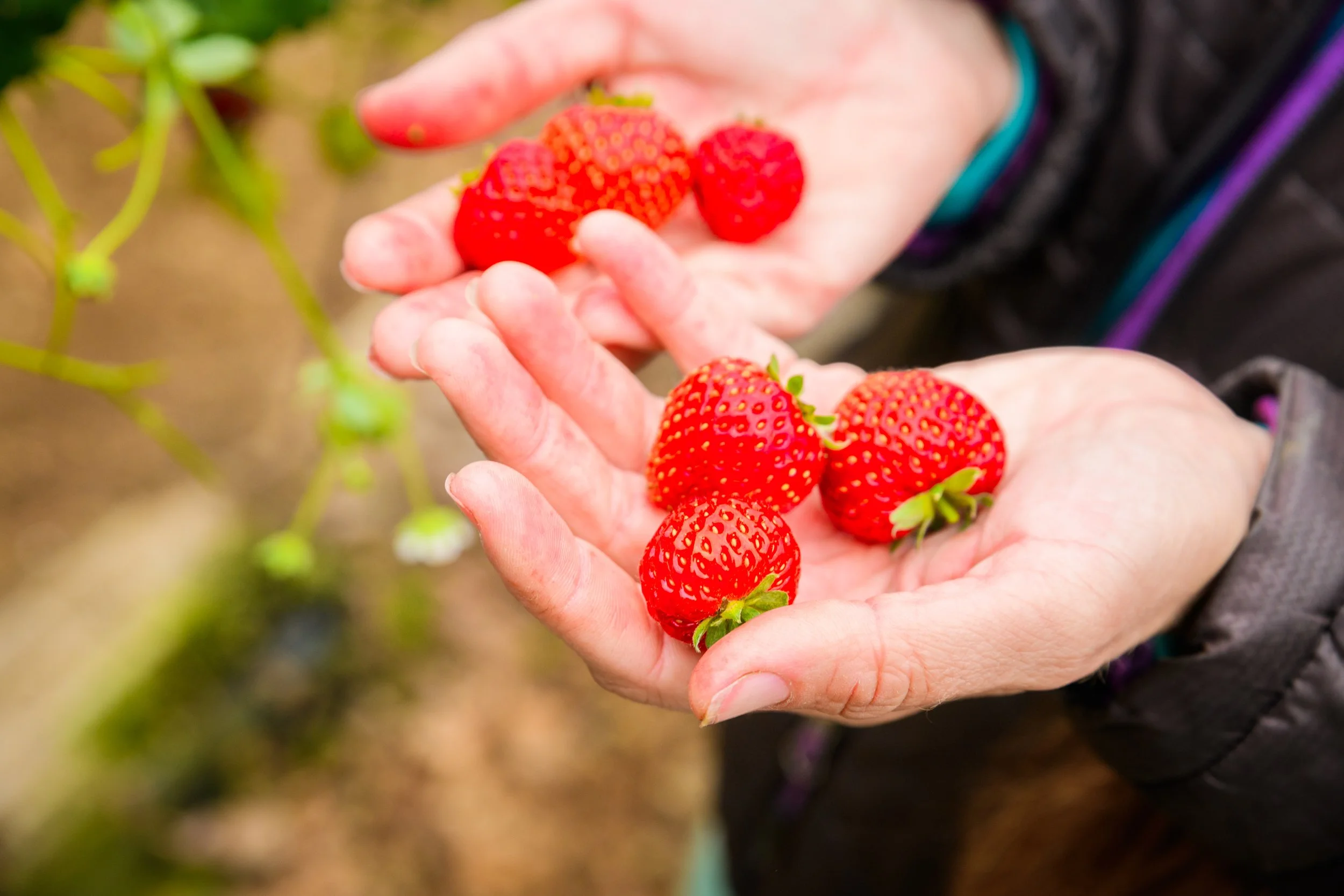 2023 Winners — NES Food & Drink Awards