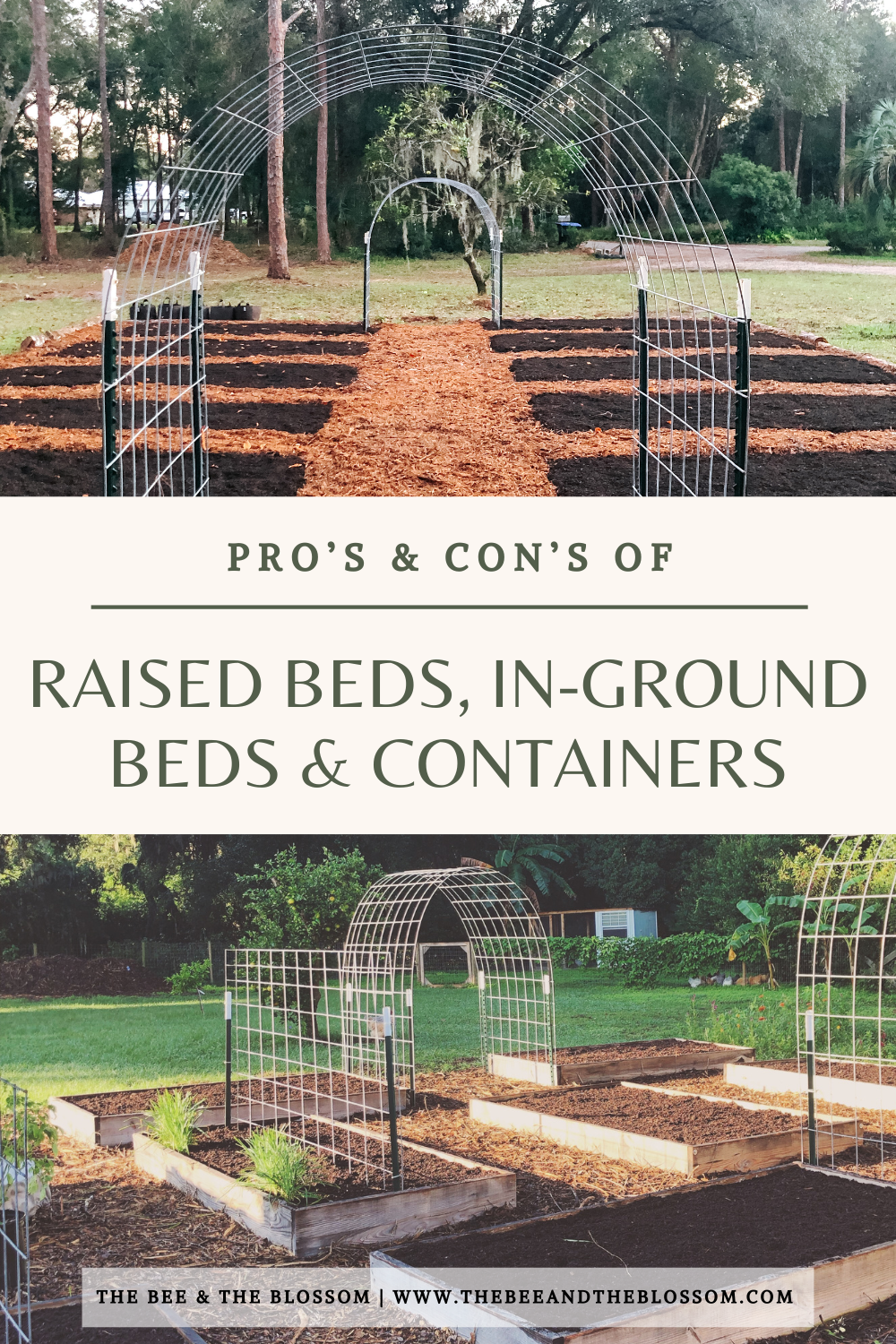 Pro's & Con's of Raised Beds, In-Ground Beds & Container Gardens: Which ...