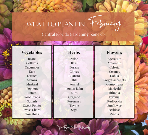 February Garden: What to Plant in Zone 9 — The Bee & the Blossom