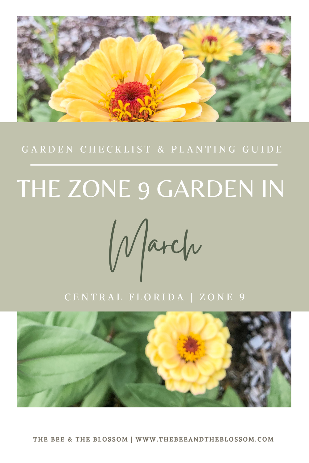 The Garden in March: Growing guide and Garden Tasks for the Zone 9 ...