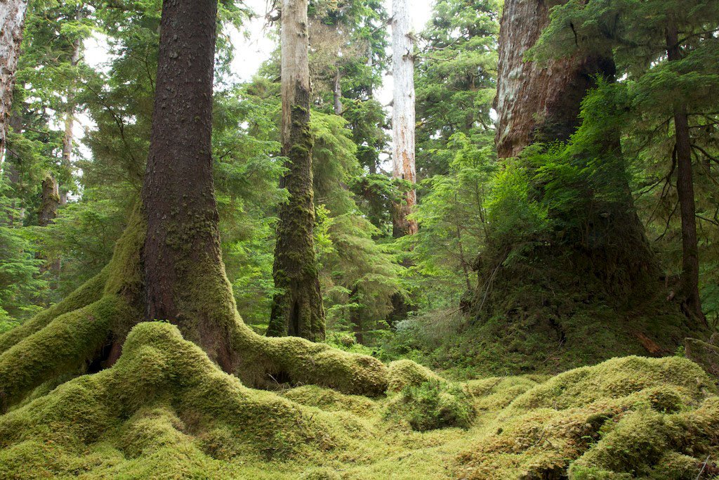 Right Relations Collaborative