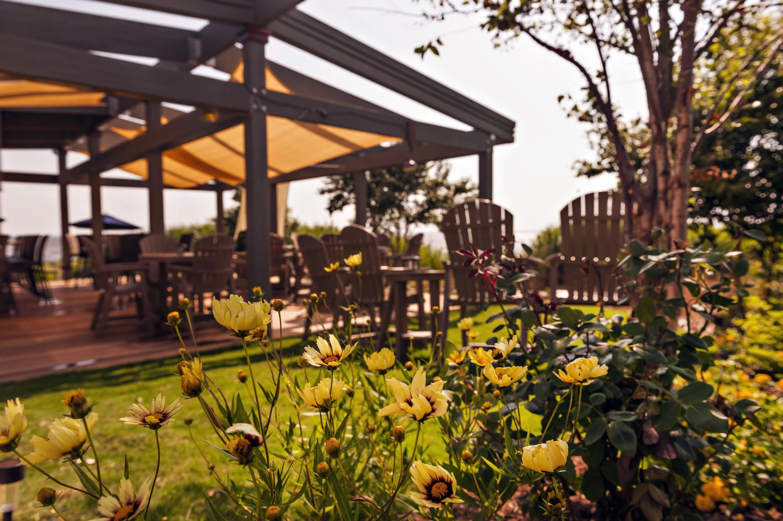 THE BACKBAR — THE BLUE POINT