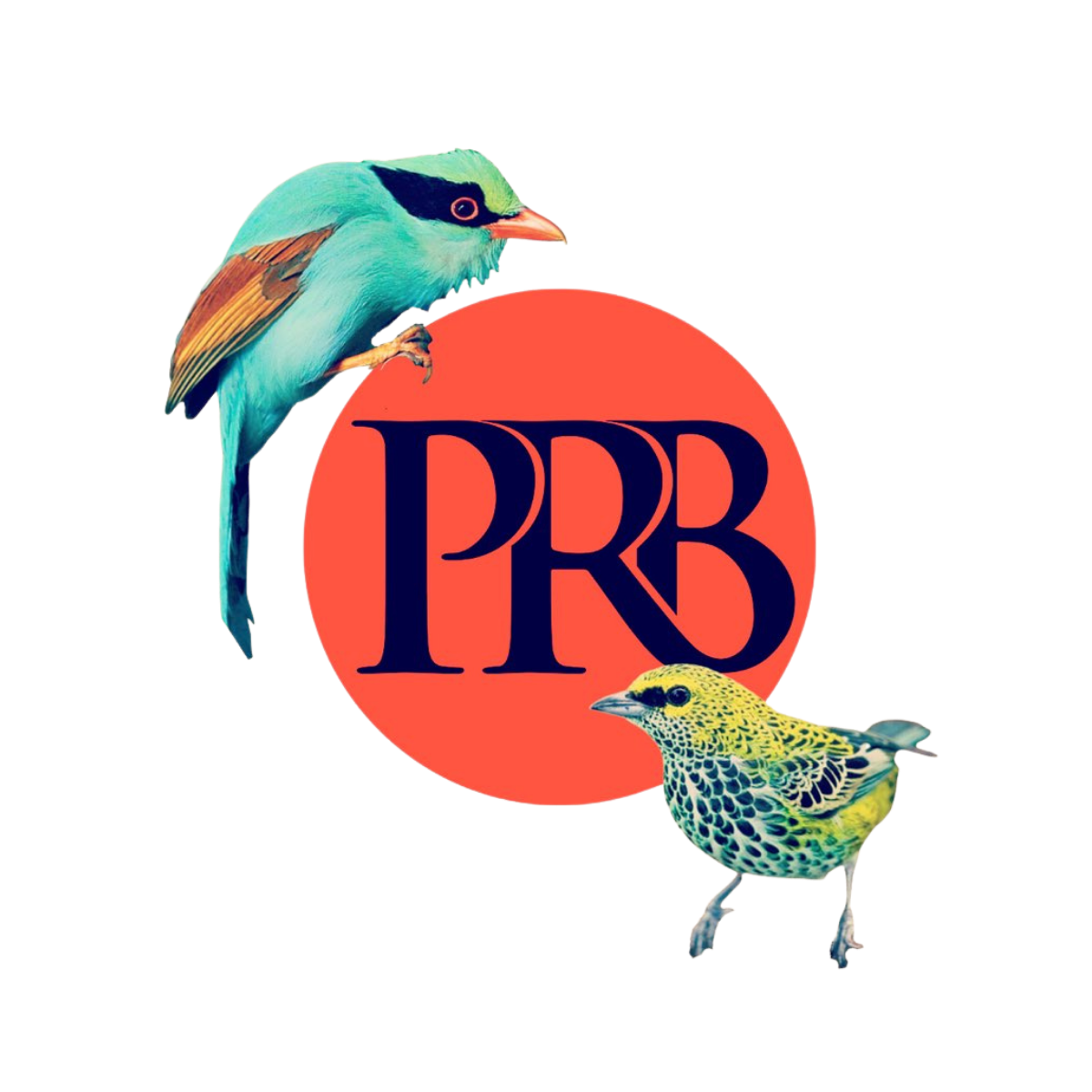 Preferred Real Estate Brokers Is Interested In You...