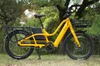 Momentum PakYak E+ — Bicycle House