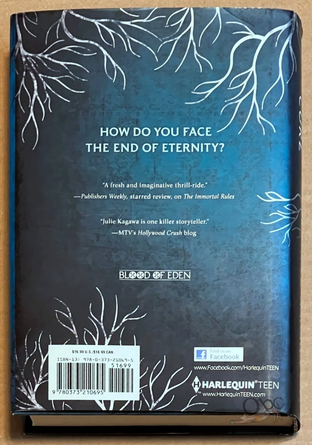 Teen Titans: Beast Boy Loves Raven by Kami Garcia and Gabriel Picolo ...