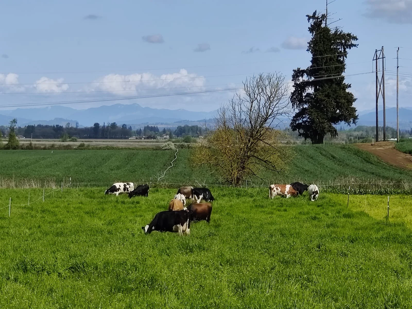 Contact — Rising Sun Dairy