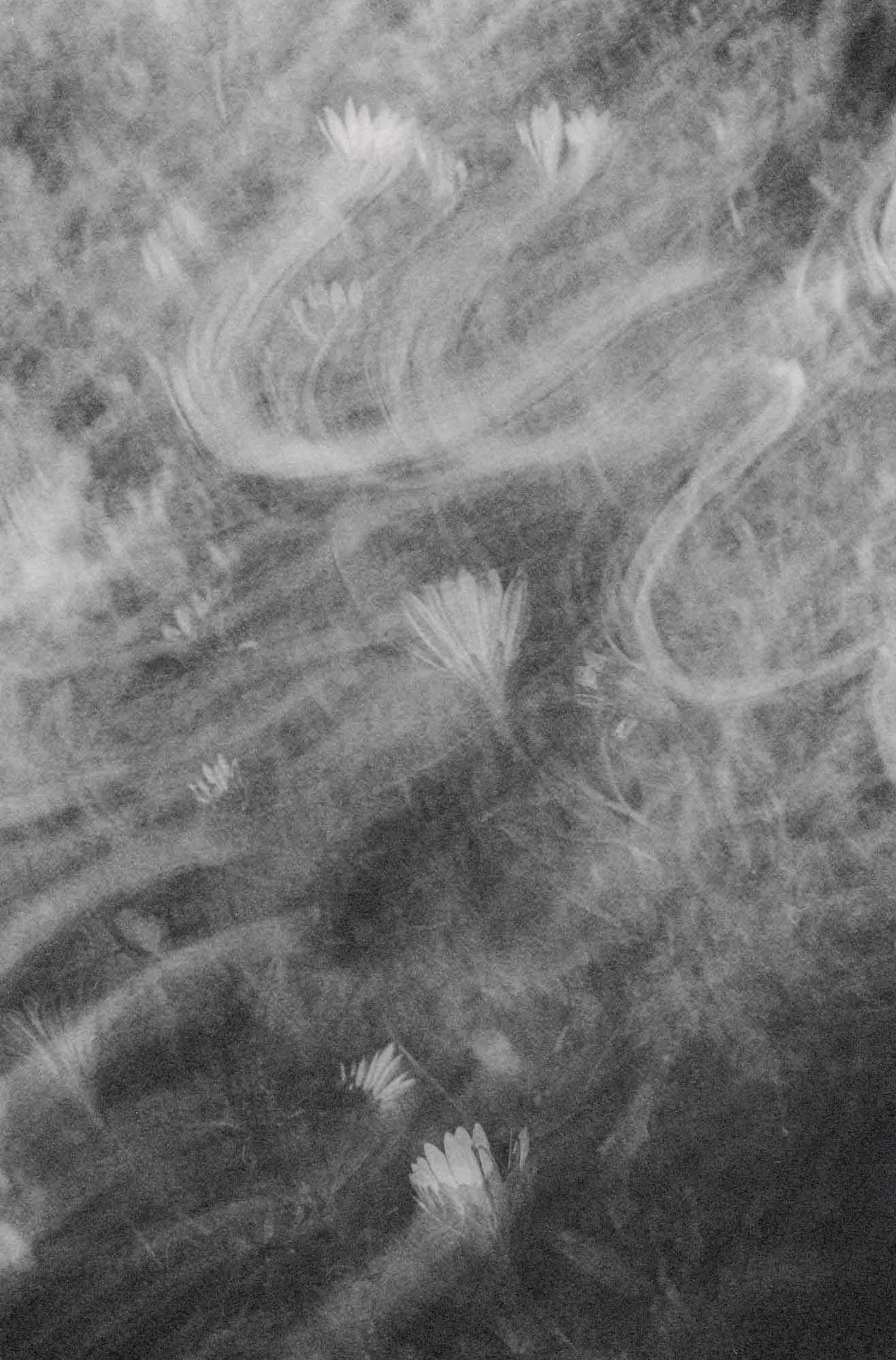 Francesco Mussida | Fine Art Photography Prints | black and white ...