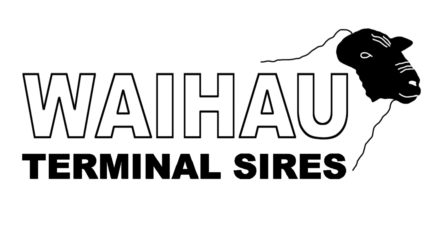 Waihau Terminal Sires
