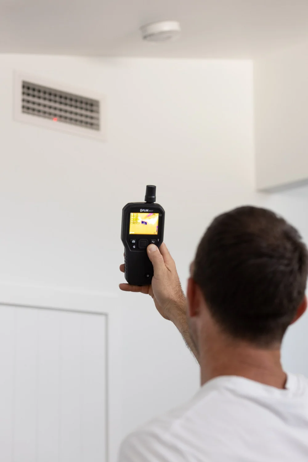 Pre-Purchase Timber Pest Inspections — Burleigh Building Inspections ...