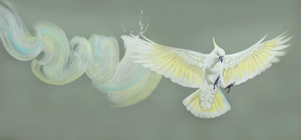 Australian Birds — Maria Harding