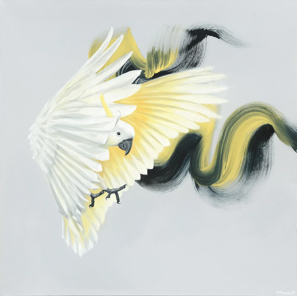 freedomseries — Maria Harding