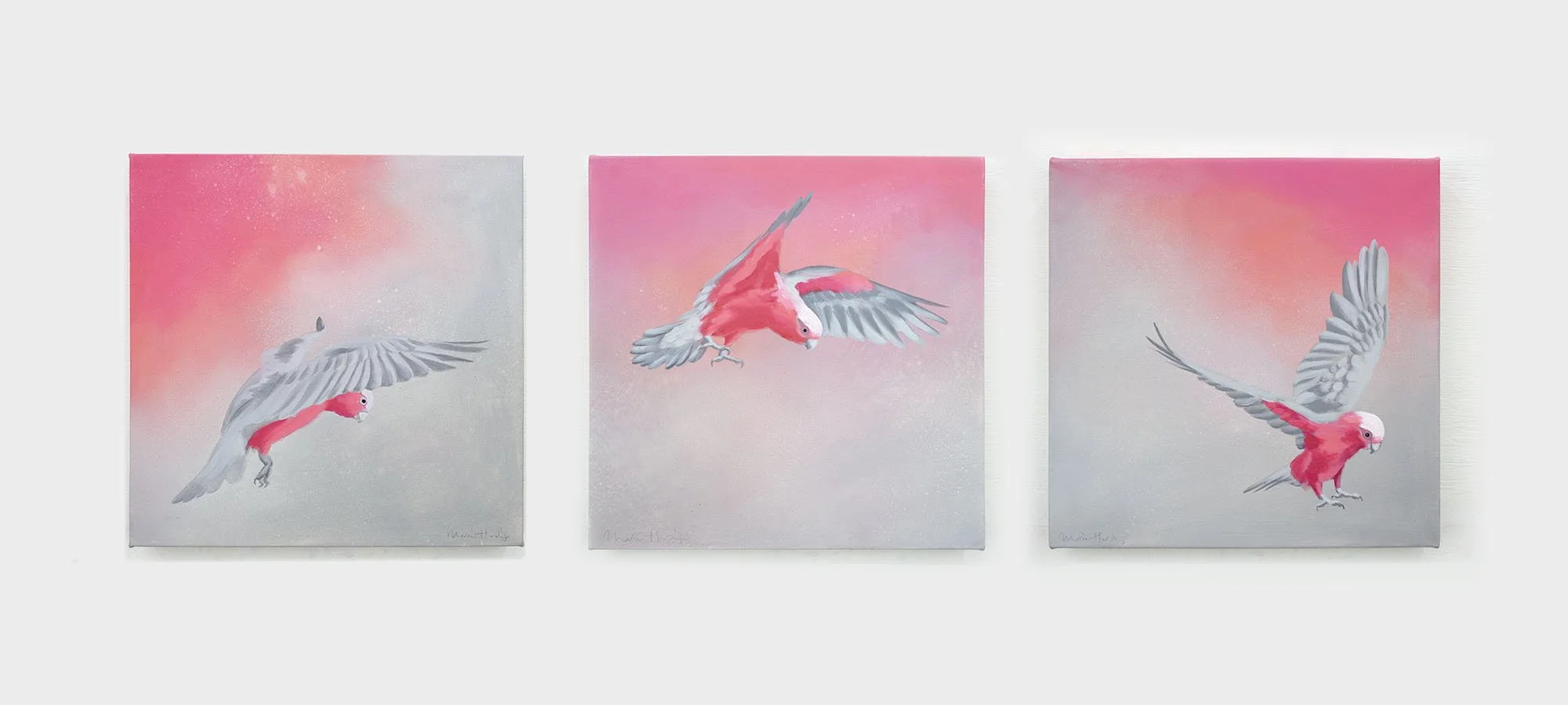 Australian Birds — Maria Harding