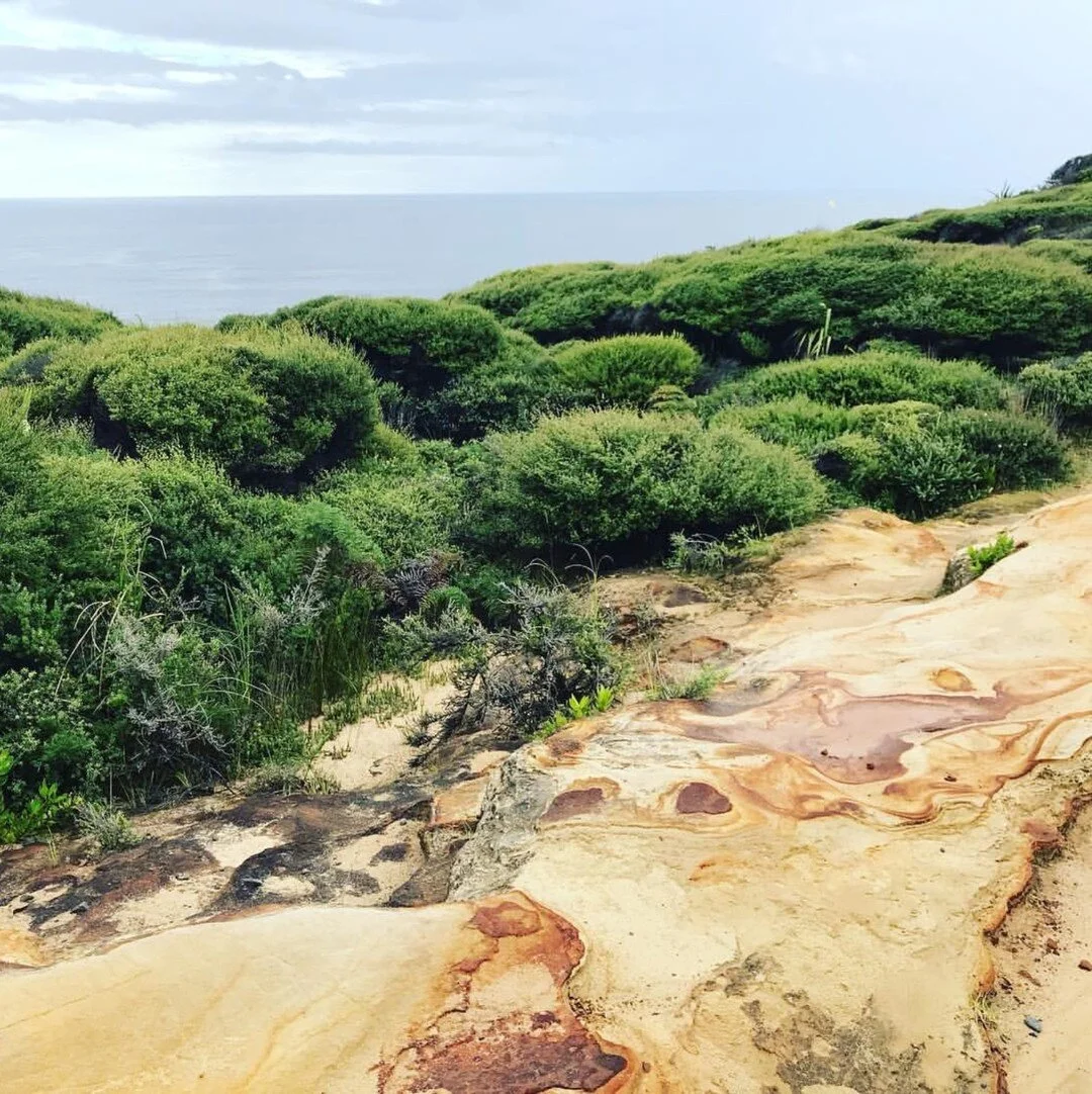 Master Feng Shui Consultant Rodika Tchi. Published Author. Teacher