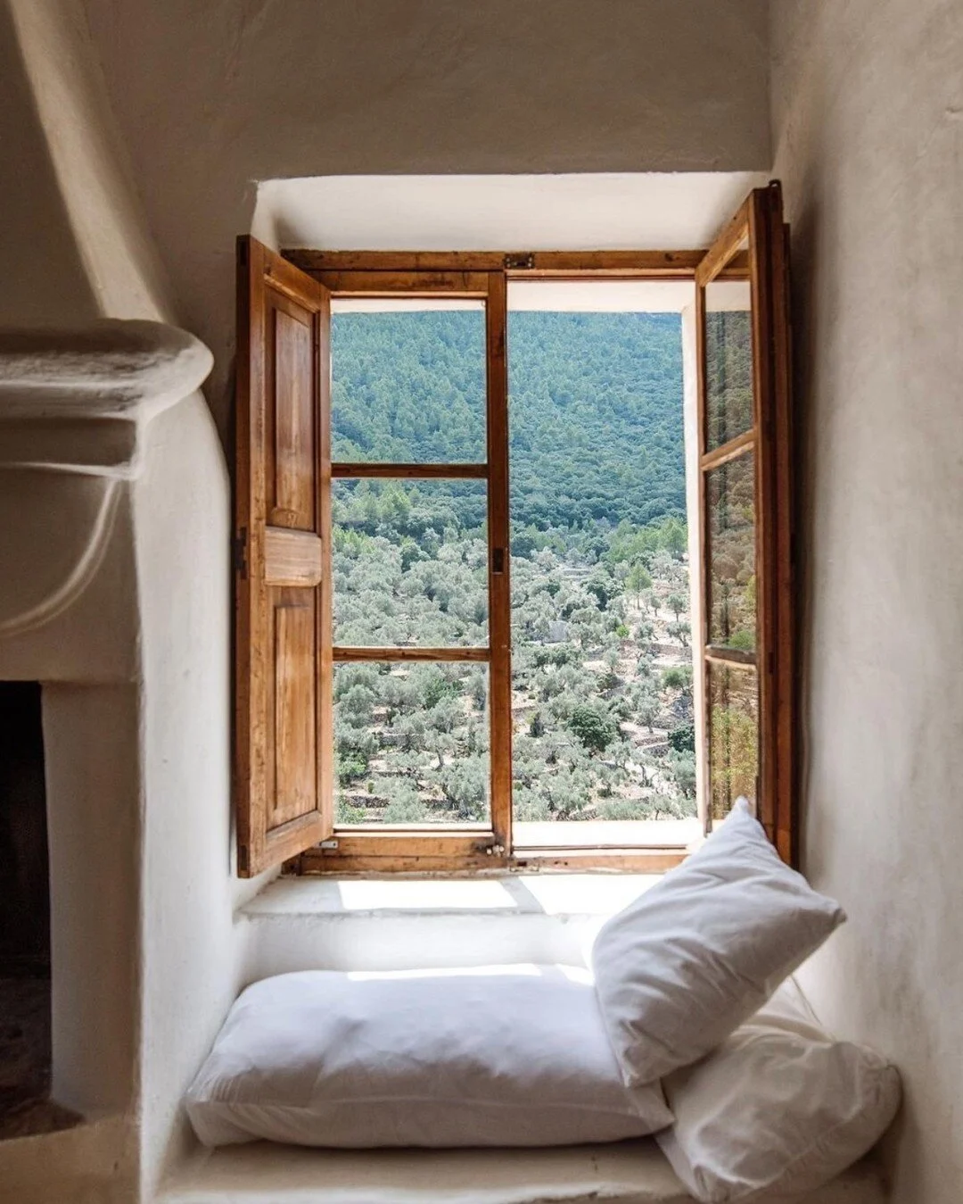 Master Feng Shui Consultant Rodika Tchi. Published Author. Teacher