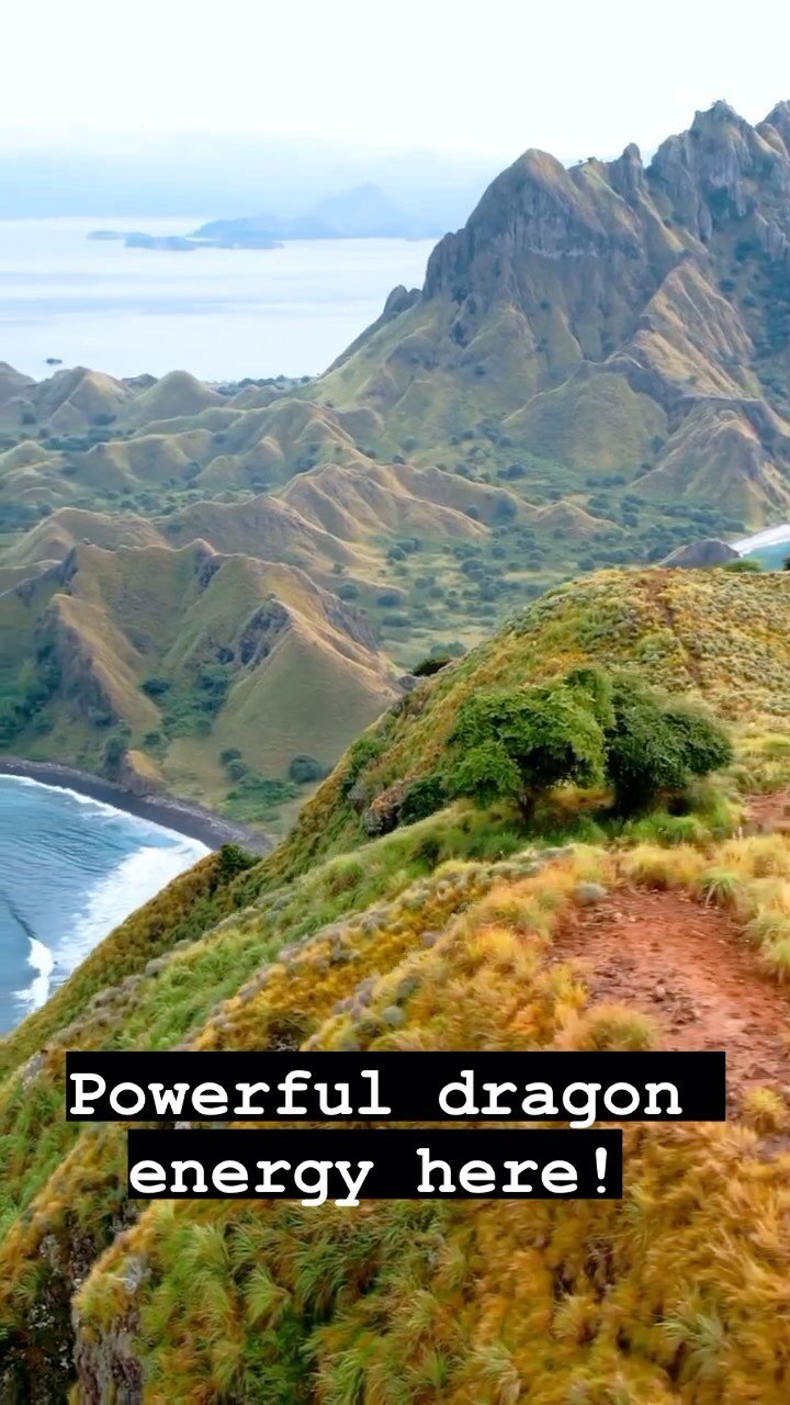 Master Feng Shui Consultant Rodika Tchi. Published Author. Teacher