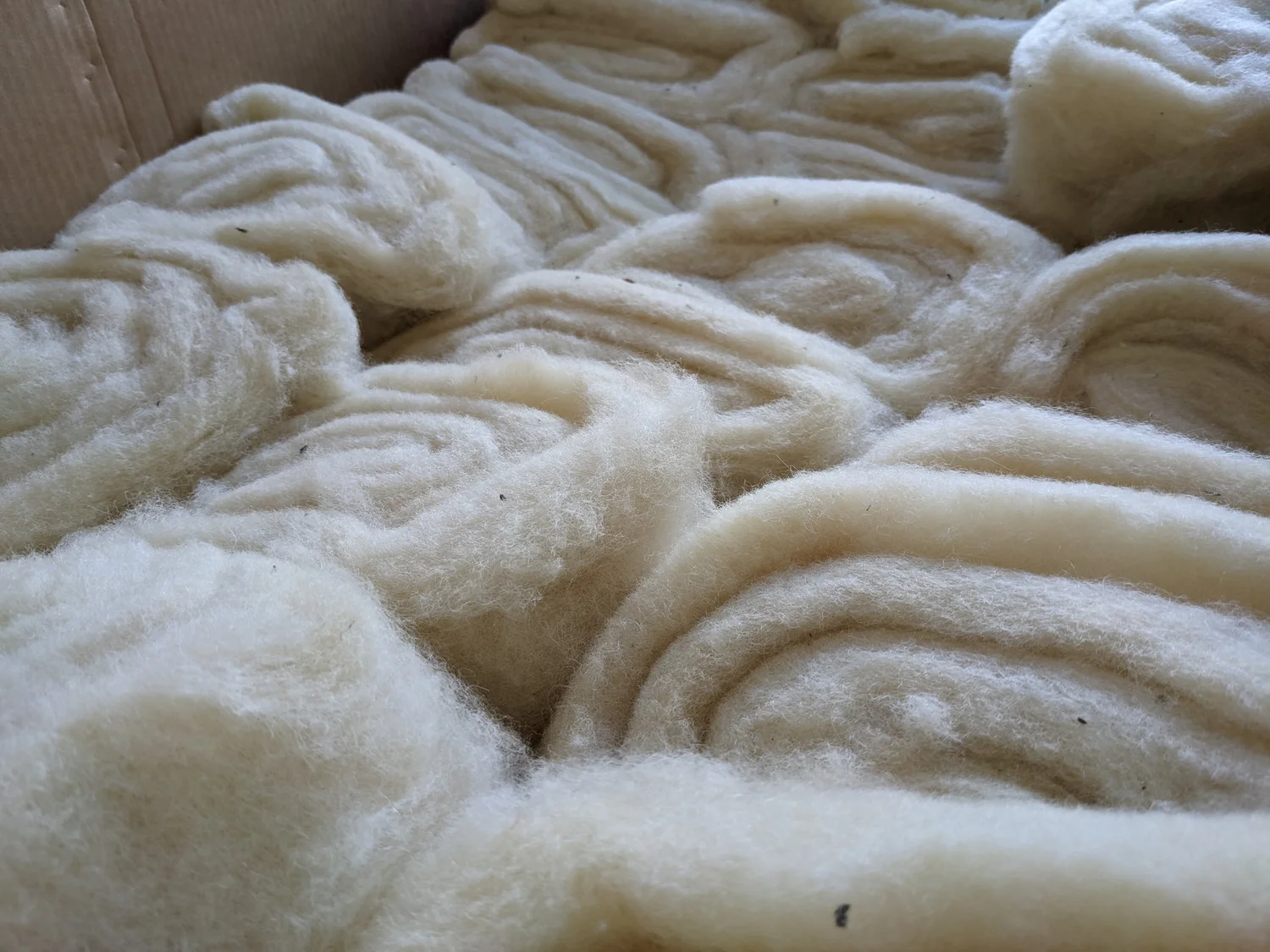 Installing Havelock Wool Insulation In Our Van — Attie The Van
