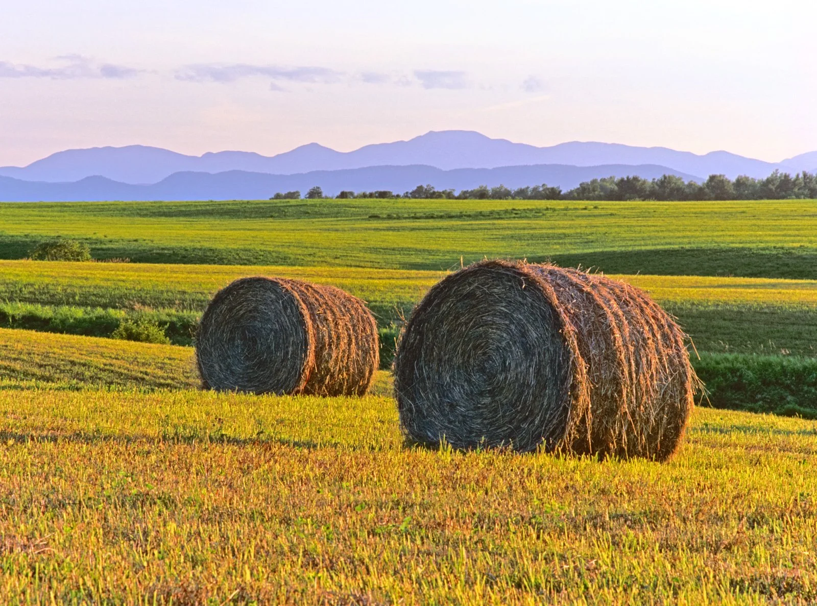 Landscape — Jeff Schneiderman Photography
