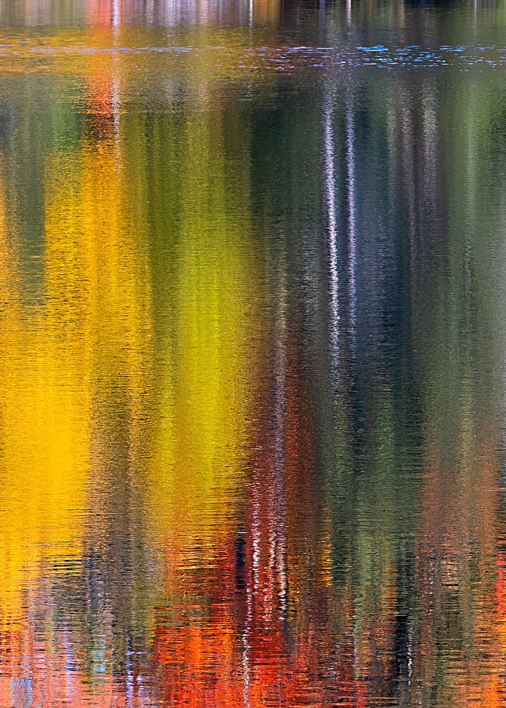 Fall Foliage Reflections — Jeff Schneiderman Photography